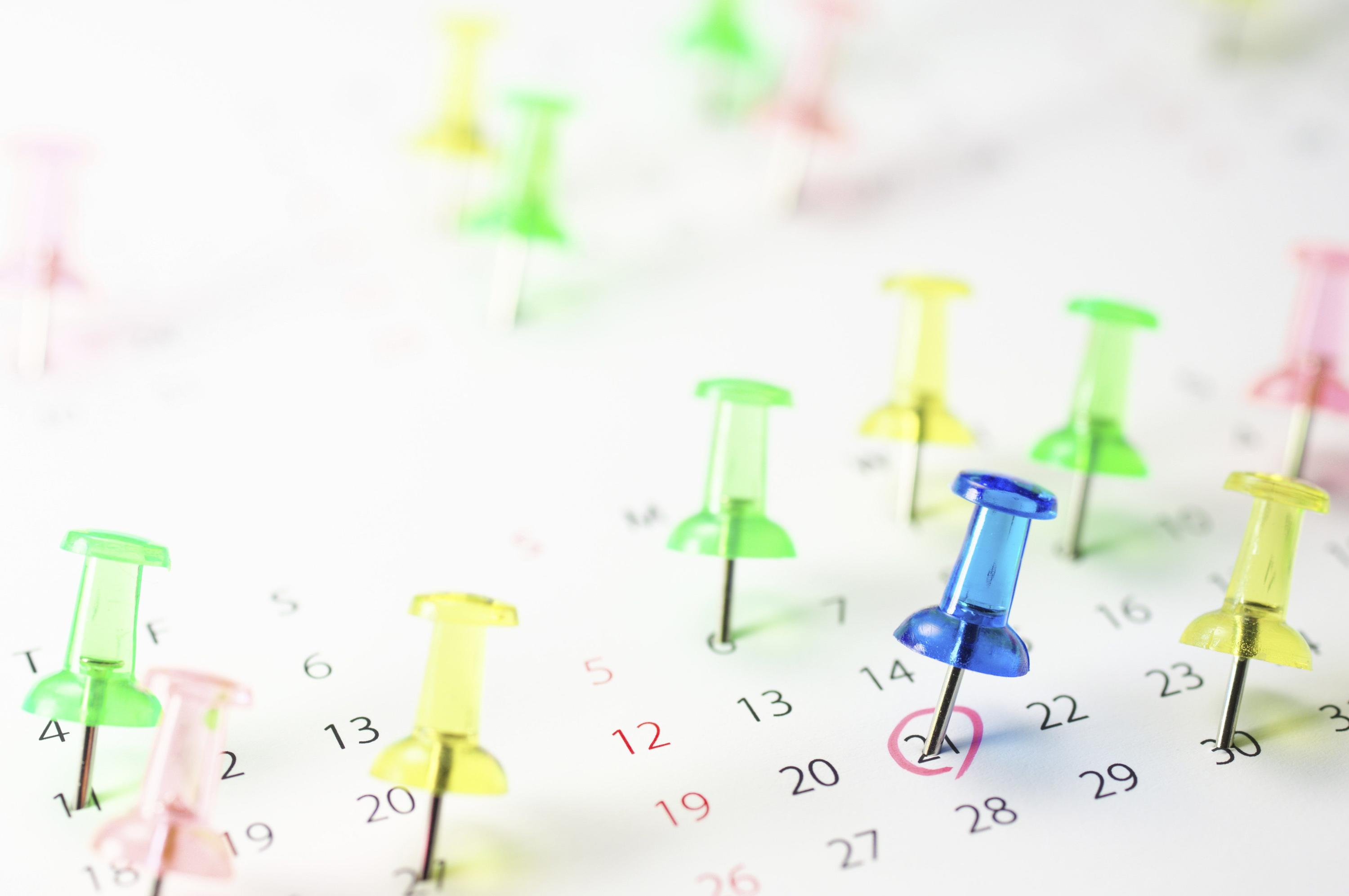 Schedule Your Session - Bokeh Effect